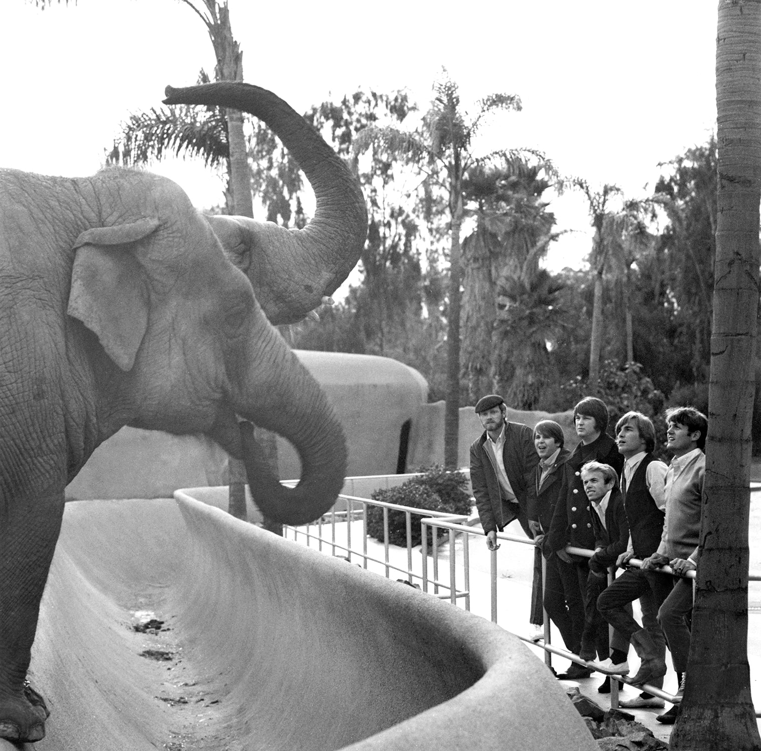 The Beach Boys, Brian Wilson, Mike Love, Bruce Johnston, Al Jardine ...