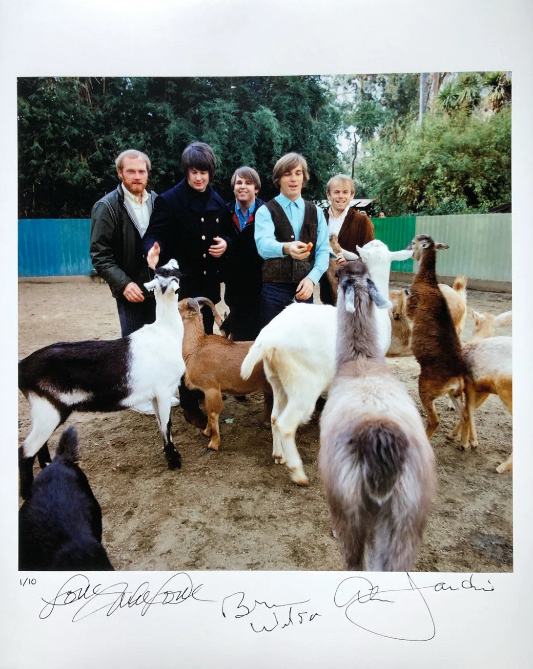 The Beach Boys, Brian Wilson, Mike Love, Bruce Johnston, Al Jardine ...